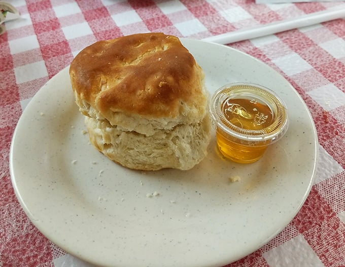 Behold the humble biscuit in its natural habitat—golden-topped, impossibly fluffy, and ready for its honey bath. Carb-counting stops at this door.