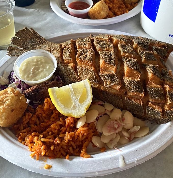 A perfectly scored flounder that's crispy outside, flaky inside. That red rice and slaw aren't just sides—they're essential supporting characters.