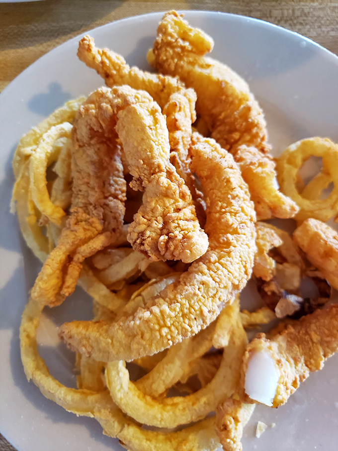 Fried grouper and onion rings playing the ultimate Florida duet—crispy, golden, and guaranteed to make you forget your table manners.