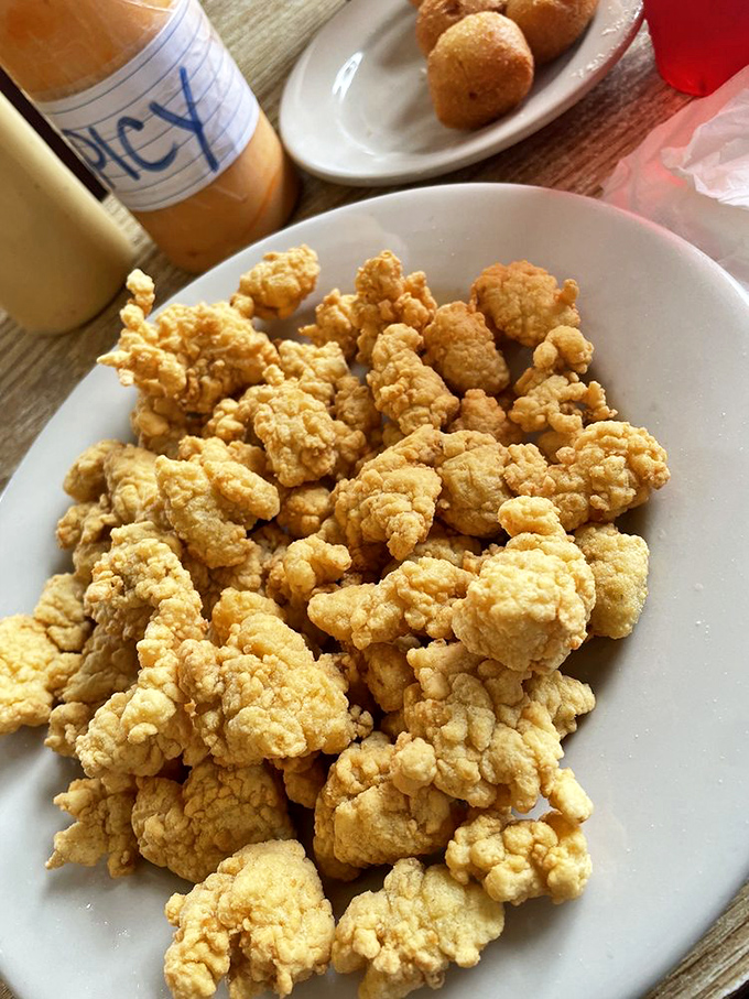 The gator plate—Florida's answer to chicken nuggets. Tender, flavorful, and the perfect conversation starter for your northern relatives.