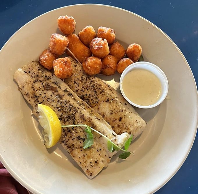 Perfectly blackened fish that doesn't hide behind fancy presentation. Those tater tots aren't just a side—they're little golden nuggets of nostalgia.