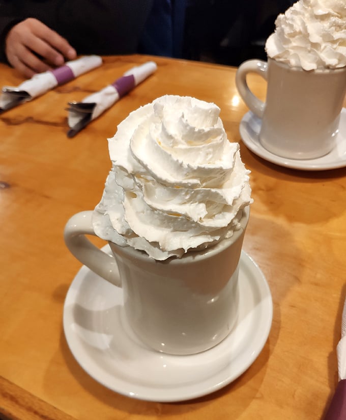 Hot chocolate that's more mountain than beverage. That whipped cream peak deserves its own hiking trail and commemorative t-shirt.