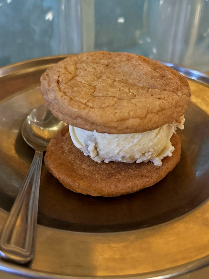 The humble ice cream sandwich, elevated to art form. Those cookies aren't just holding ice cream—they're cradling dreams.