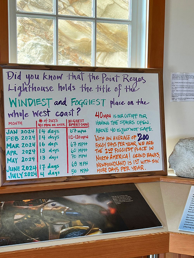 "Windiest and foggiest place on the West Coast" isn't just bragging—it's science. This board tracks days when Mother Nature shows off her temper.