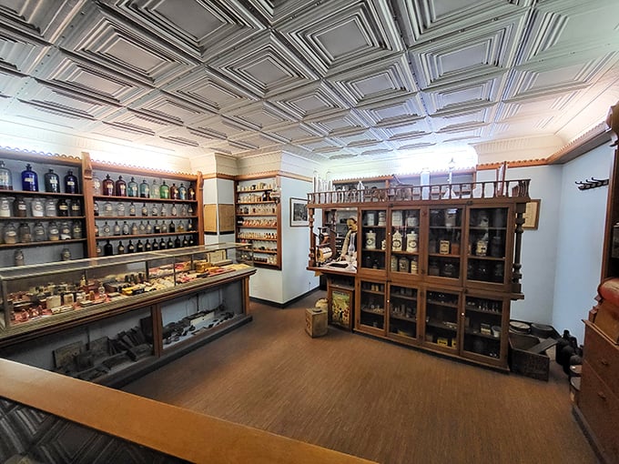 Shelves lined with mysterious potions and powders. The original CVS, but with more leaches and considerably fewer self-checkout machines.