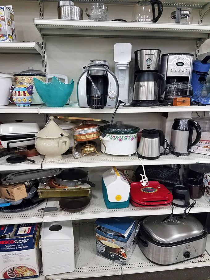 Kitchen gadget graveyard or culinary resurrection center? These appliances stand ready for their second chance to brew, blend, and toast again.