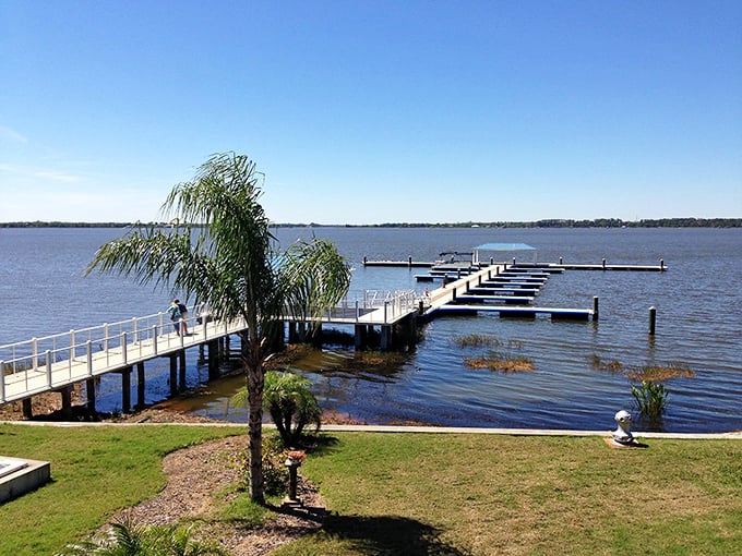 Lake Dora's pristine waters and inviting dock system practically beg you to rent a boat and play captain for the day.