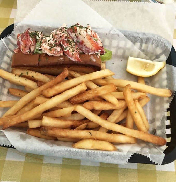 The lobster roll that launched a thousand road trips. This isn't just lunch—it's Maine's greatest contribution to humanity, served with a side of crispy fries.
