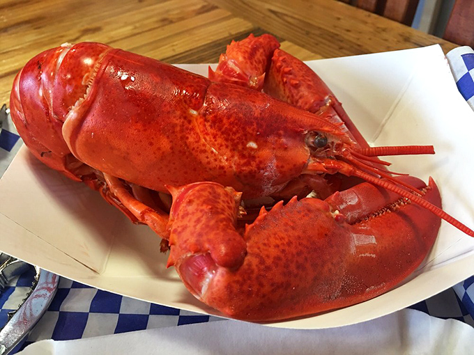 The star of the show in all its crimson glory. When your meal requires both tools and a bib, you know you're in for a deliciously primal experience.