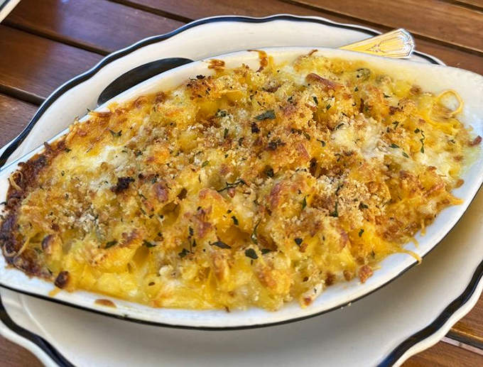 Mac and cheese elevated to art form status, bubbling with golden cheese perfection.