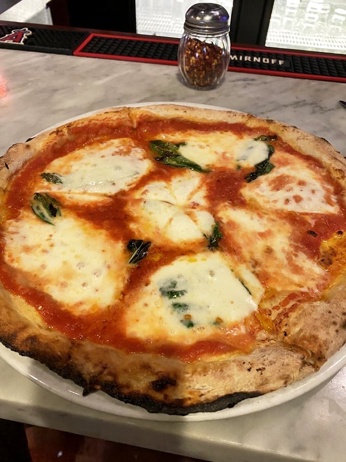 Behold the Margherita – pizza in its purest form. San Marzano tomatoes and pools of melted mozzarella on a leopard-spotted crust.