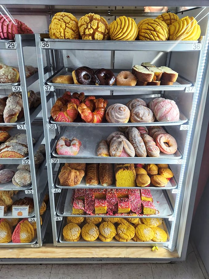 The display case offers a rainbow of Mexican pastries, each with its own personality. It's like a United Nations of carbohydrates where everyone gets along beautifully.
