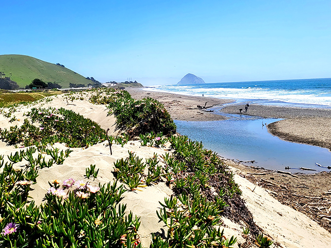 Where rolling hills meet pristine shoreline, with Morro Rock standing sentinel in the distance—nature's own masterpiece on full display.