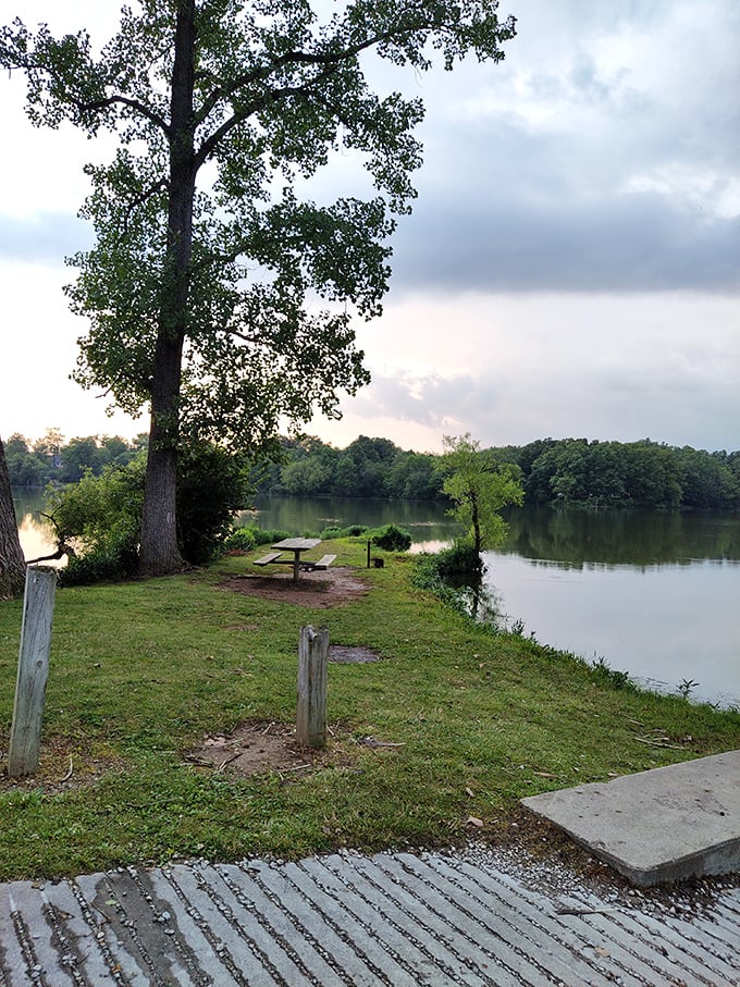 Prime lakeside real estate with a million-dollar view that costs exactly zero dollars to enjoy.