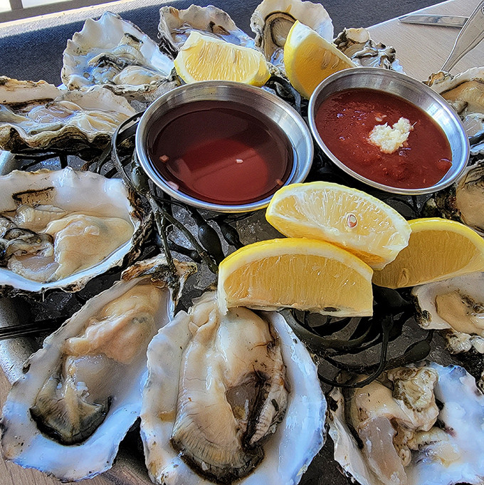Oysters on the half shell—nature's perfect appetizer, requiring nothing more than a squeeze of lemon and a moment of gratitude.