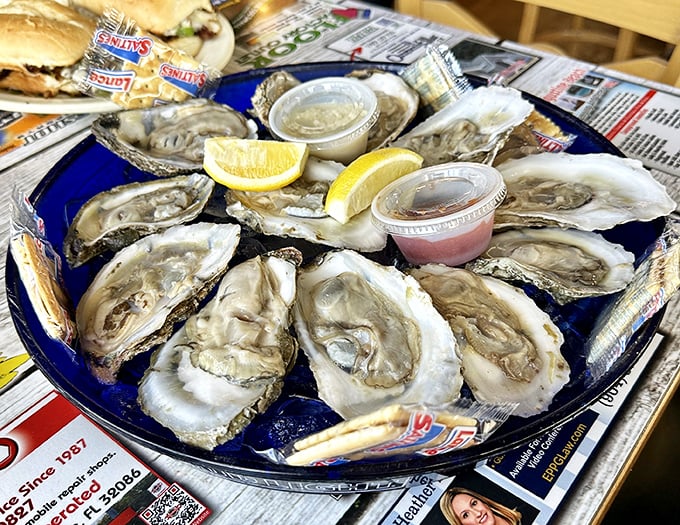 Oysters on the half shell arranged like jewels on a blue plate – nature's perfect appetizer with just a squeeze of lemon and a dash of anticipation.