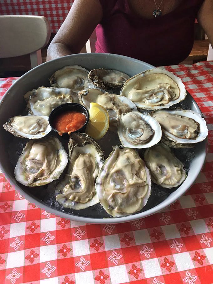 Fresh oysters on the half shell—nature's perfect appetizer, requiring nothing more than a squeeze of lemon and a moment of appreciation.