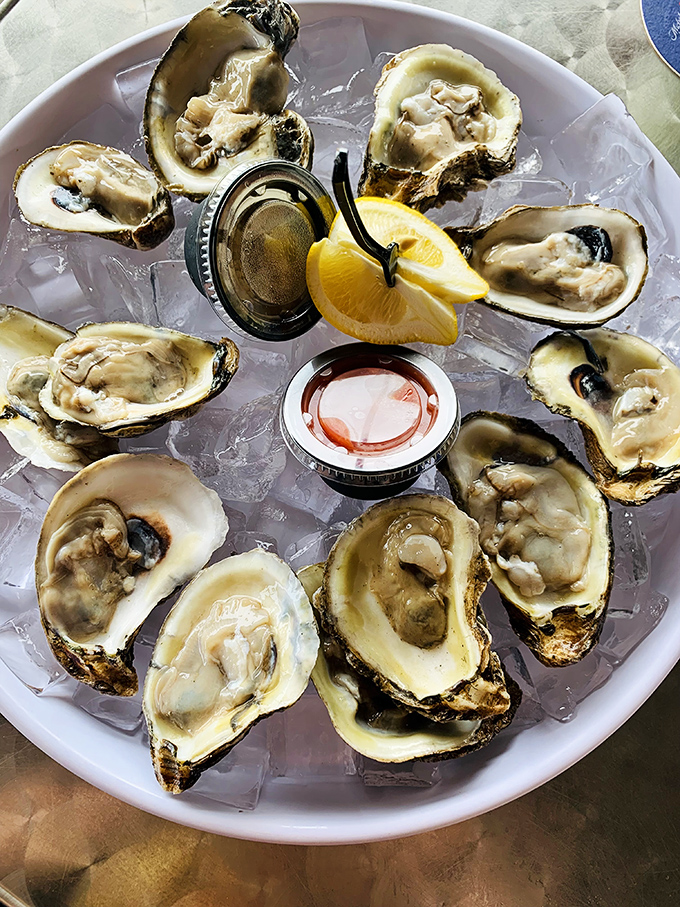 Oysters on the half shell—nature's perfect appetizer. Briny, fresh, and just waiting for that squeeze of lemon and dash of cocktail sauce.