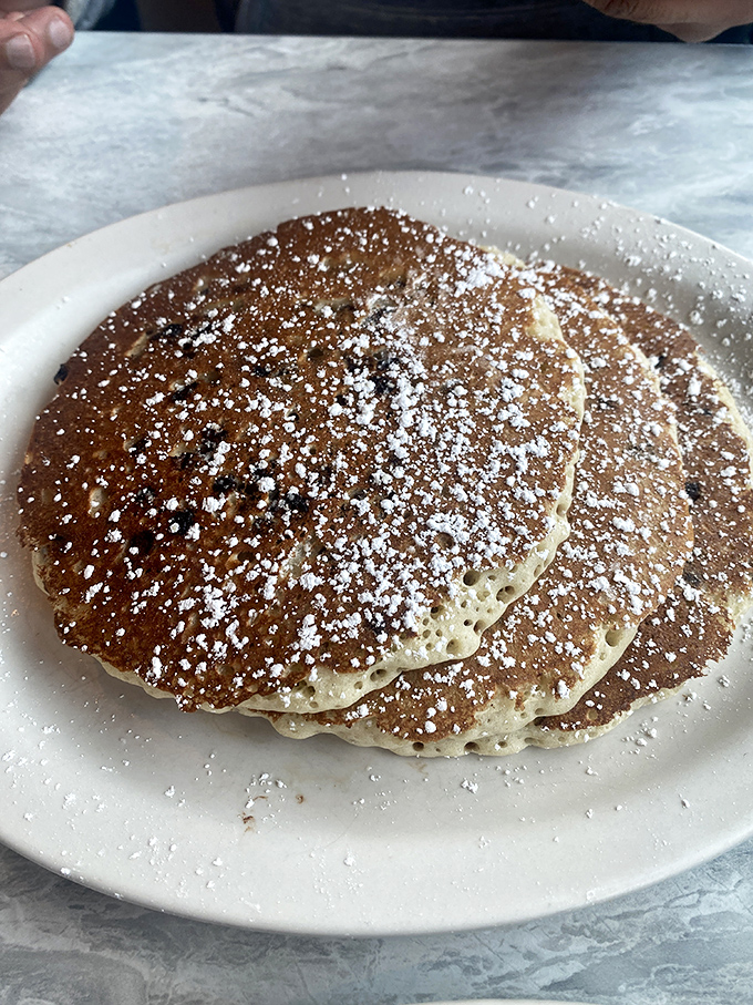 Some pancakes have jobs, these have careers—golden-brown professionals dusted with powdered sugar, waiting for their syrup promotion.
