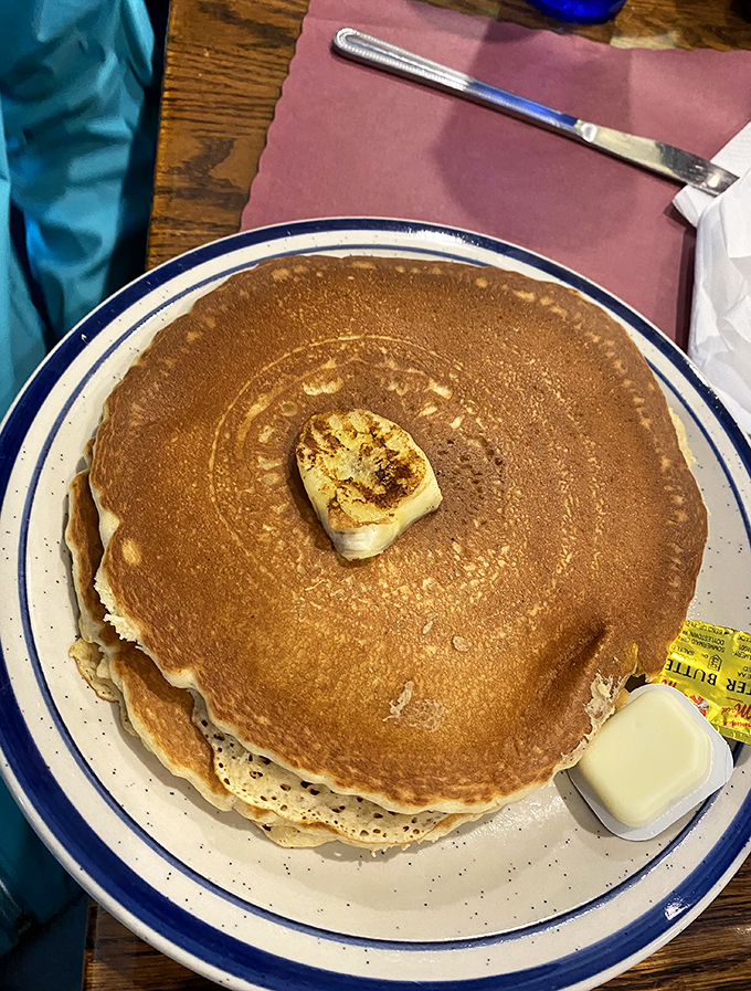 Behold the pancake in its natural habitat—perfectly round, golden-brown, and ready to absorb approximately half a bottle of syrup.