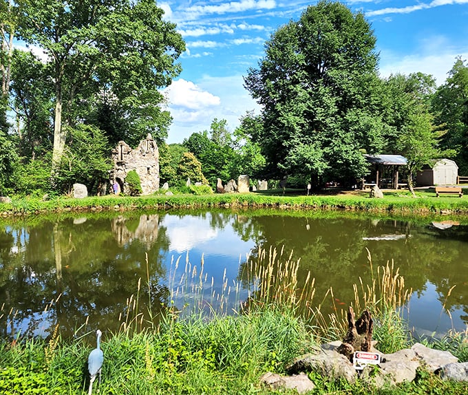 Reflections dance across this serene pond, where even the stones seem to take a moment to admire their stony good looks.
