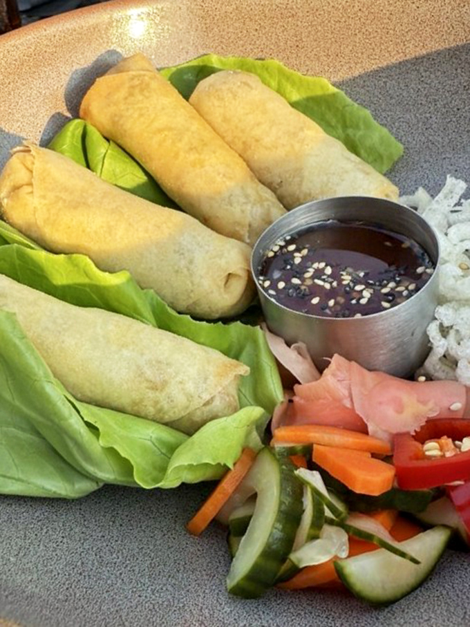 These spring rolls aren't just appetizers—they're crispy little envelopes of joy, served with a dipping sauce that'll make you consider drinking it straight.