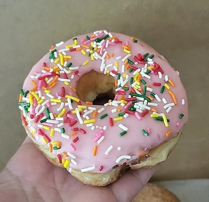Rainbow sprinkles transform ordinary donuts into edible confetti celebrating life's sweetest moments perfectly.