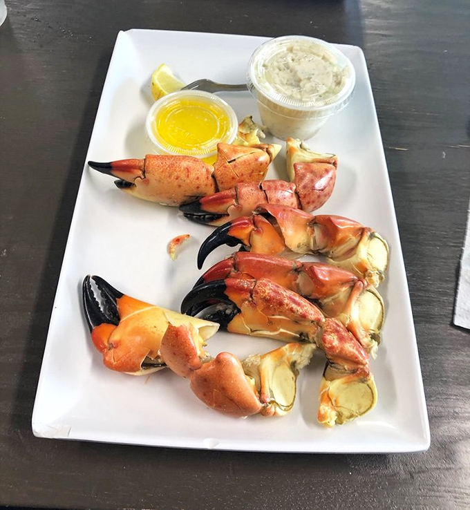 Stone crab claws—nature's perfect appetizer. Sweet, delicate meat that requires just enough effort to make each bite feel like a well-earned victory.