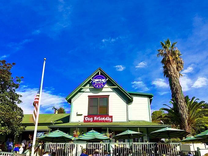 Dog-friendly and deliciously unpretentious, Summerland Beach Café serves up comfort food with ocean views that would cost triple in Malibu.