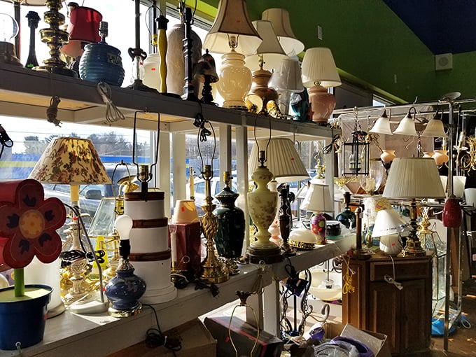 The lamp section glows with personality—from kitschy conversation pieces to elegant statement makers, there's a light for every dark corner.
