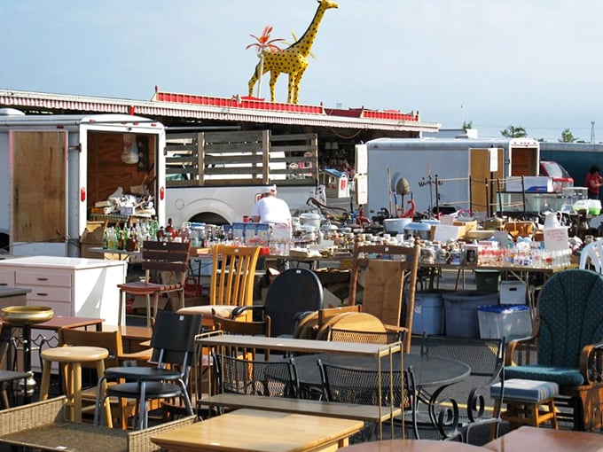 One person's dining set is another's treasure—this furniture graveyard is where tables and chairs await their resurrection story.