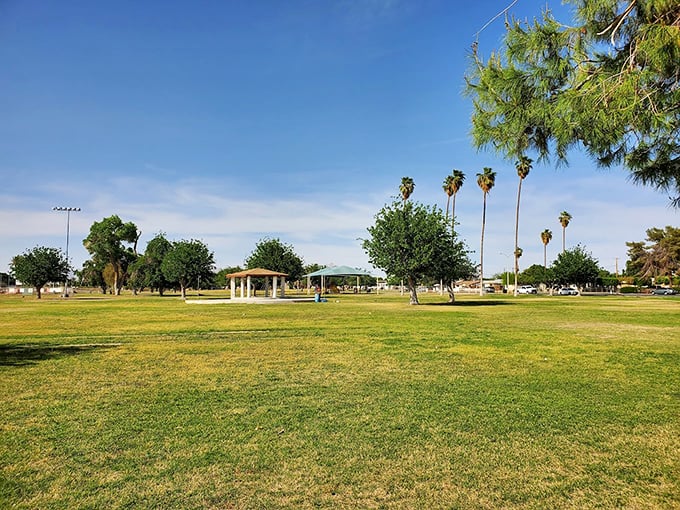 Todd Park's sprawling green space defies desert expectations, offering shaded respite where generations gather for community picnics and lazy Sunday afternoons.
