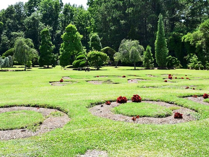 Nature's calligraphy—flowing curves and perfect circles etched into the landscape create patterns that change with every angle and shadow.