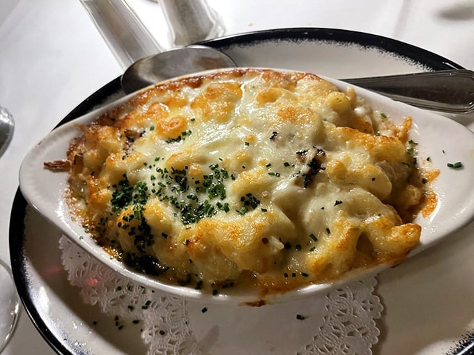 This isn't just mac and cheese – it's a bubbling cauldron of comfort where several cheeses have gathered for the world's most delicious reunion.