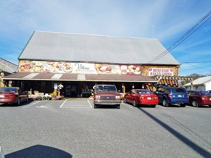 Village Farm Market delivers that perfect blend of local charm and practical shopping that defines small-town convenience.