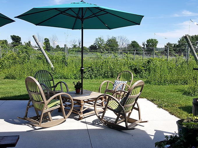 Garden chairs waiting patiently for conversation and wine—proof that sometimes the simplest pleasures make the most memorable vacation moments.