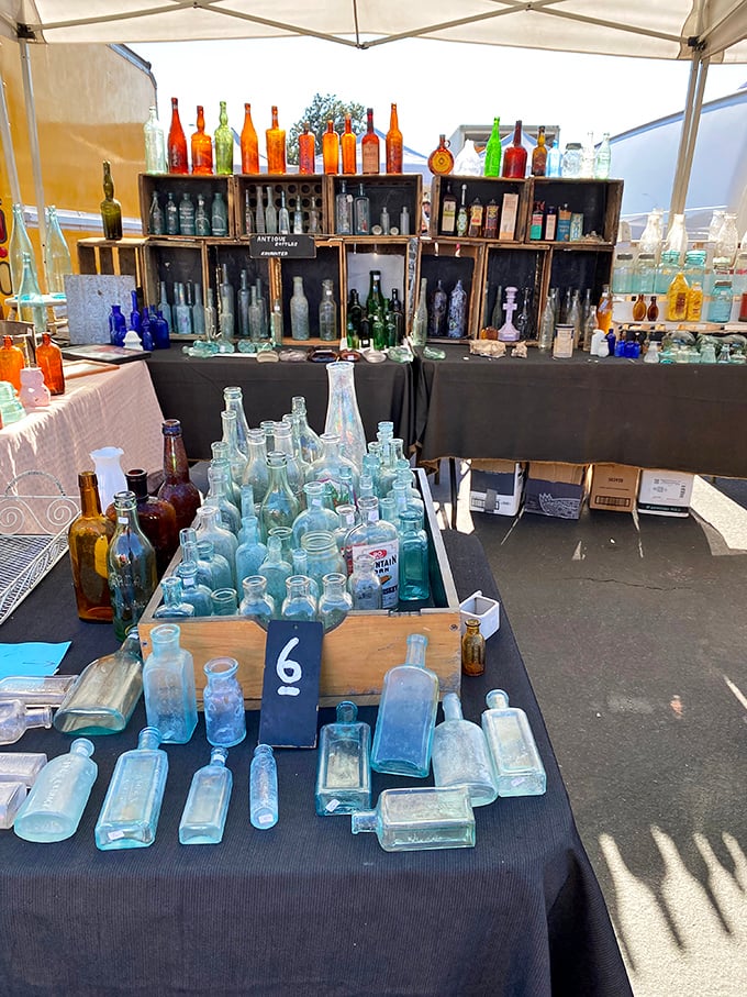 A rainbow of vintage glass catching the morning light. Each bottle holds stories of bygone eras, from medicine cabinets to soda fountains.