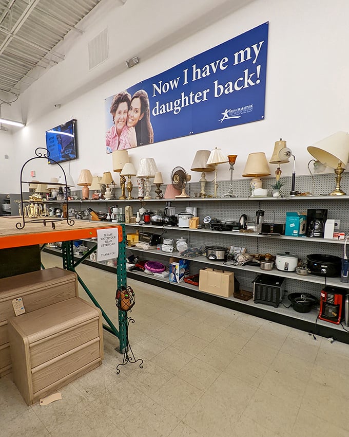 A lamp forest grows under the "Now I have my daughter back" banner—illuminating possibilities for both home decor and family reconciliation.