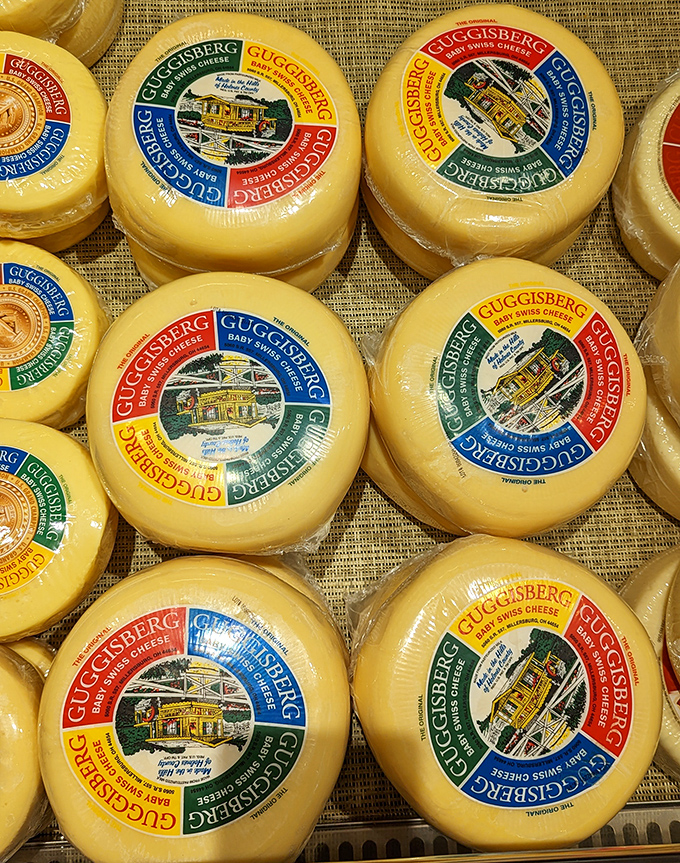 Baby Swiss wheels with their colorful labels stand ready for adoption. Those distinctive little eyes aren't just holes—they're windows to flavor paradise.