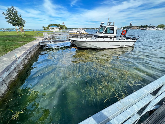 The water's so clear you can practically count the fish debating whether your bait is worth the commitment. Nature's aquarium on display.
