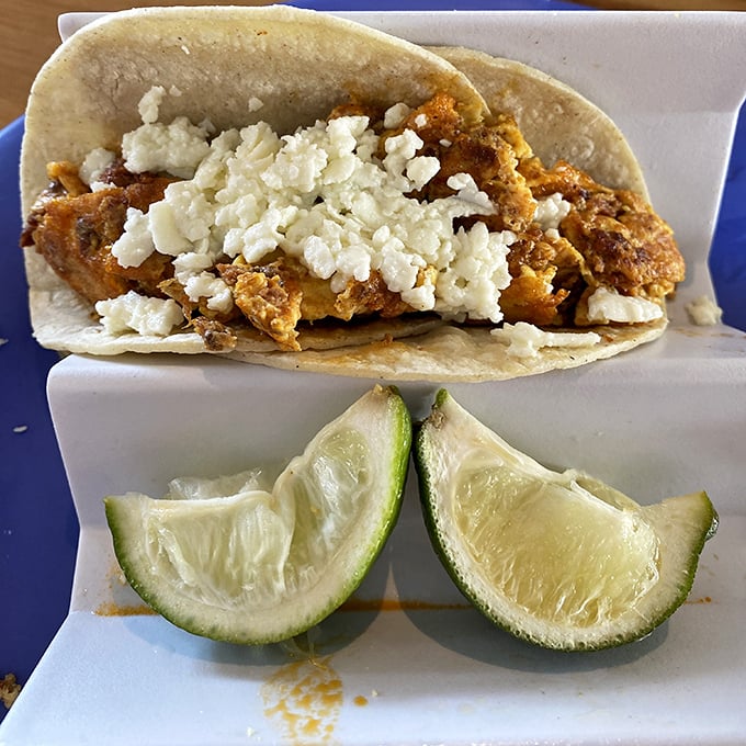 Not your abuela's tacos, but she'd approve anyway. Crispy shells cradle seasoned protein topped with crumbled cheese—breakfast speaks a universal language.