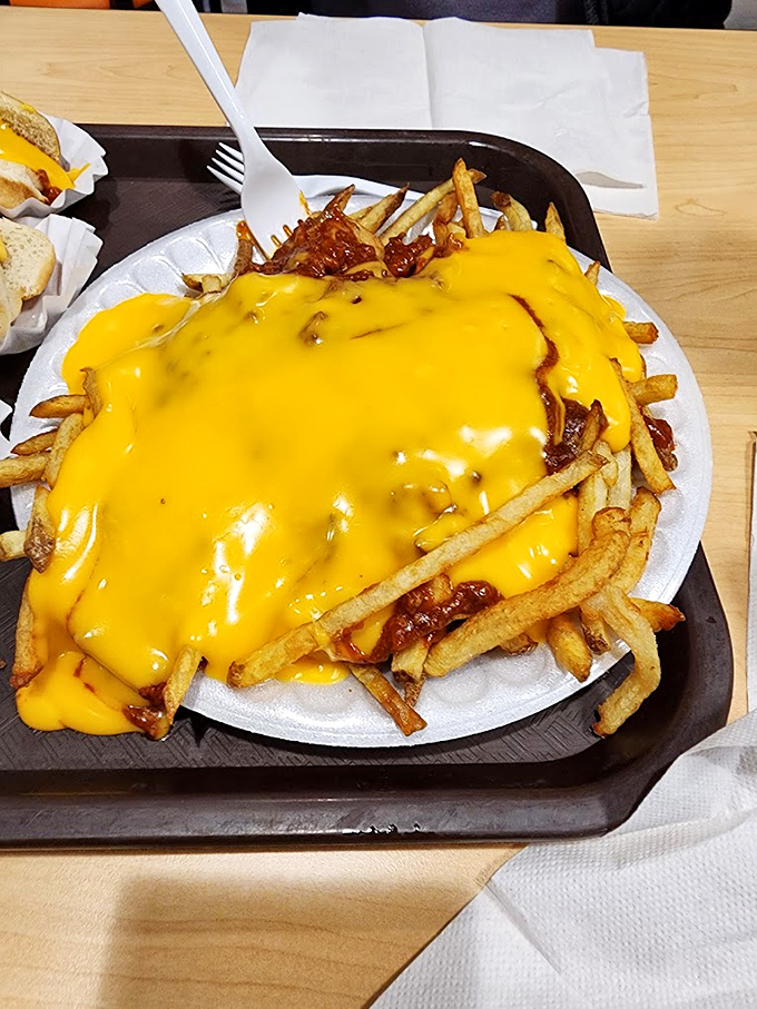French fries transformed into a molten masterpiece beneath a generous lava flow of cheese—this is what childhood dreams are made of, only better.