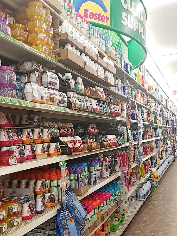 The cleaning aisle – where household heroes line up like soldiers ready to battle whatever catastrophe your toddler or pet unleashed today.
