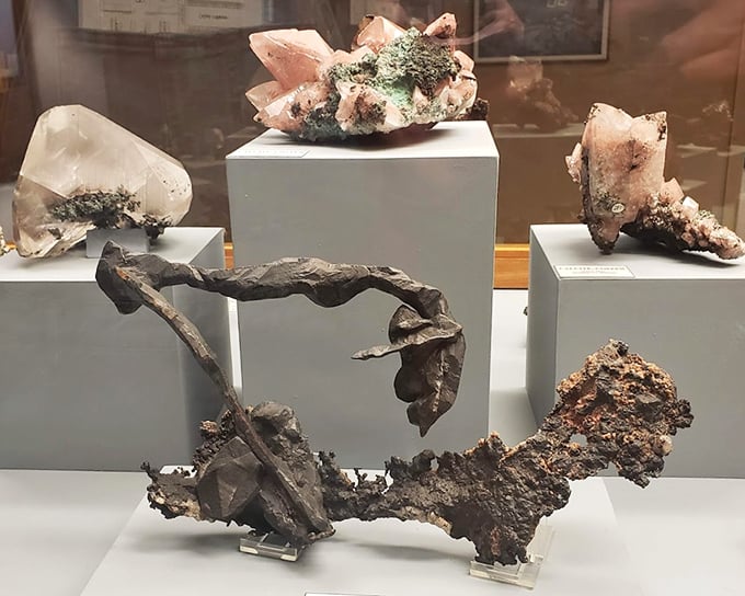 A gallery of Earth's finest creations, where each specimen tells a story of pressure, time, and geological magic.