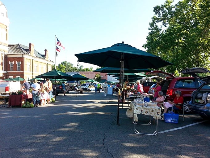 The farmers market transforms an ordinary parking lot into a vibrant community gathering spot where local flavors and stories are exchanged.