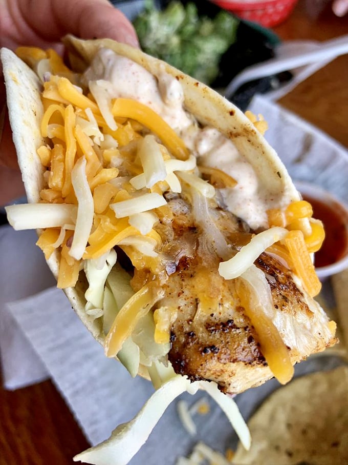 A fish taco that doesn't need fancy garnishes to impress—just fresh fish, melty cheese, and the satisfaction of eating with your hands like nature intended.