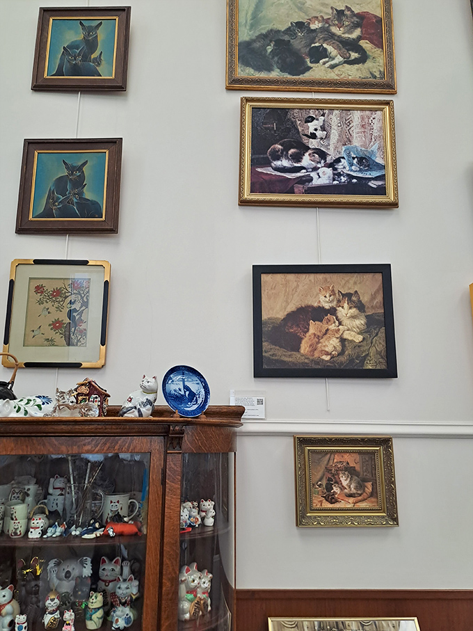 The museum walls showcase artwork that captures cats in all their mysterious glory – from regal portraits to playful domestic scenes.