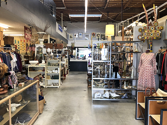 The heart of The Mart Collective beats with endless aisles of curated chaos—where vintage clothing, art, and curiosities coexist in perfect harmony.