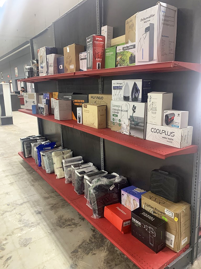 Organized chaos at its finest—each bin a mystery box that might contain exactly what you didn't know you needed.