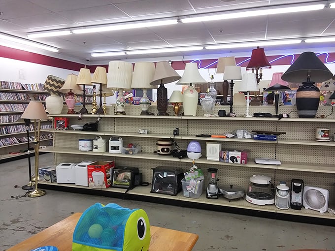 Lamp department or time machine? Those vintage shades have illuminated decades of late-night conversations and "just one more chapter" promises.